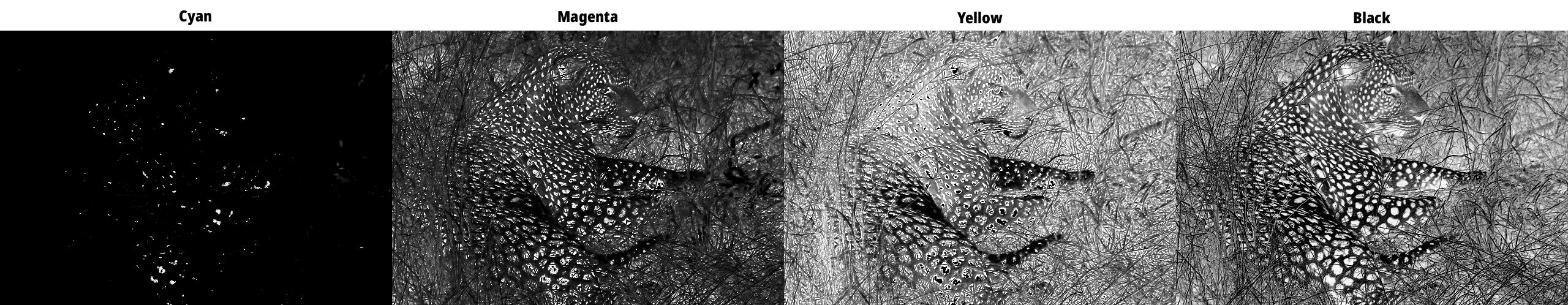 GitHub - AmanRathoreP/ImageJ-Color-Splitter-Into-Stacks: This plugin ...