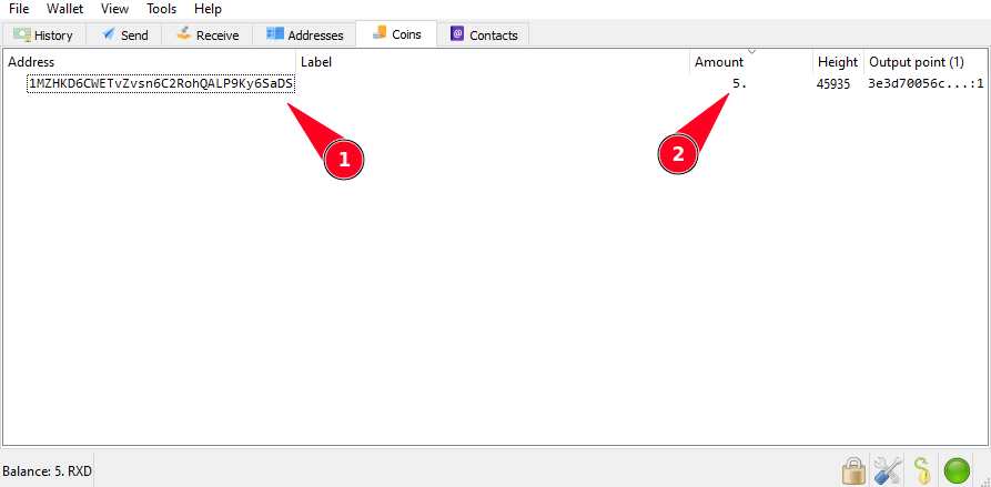 Radiant-Guides/How-Use-Wallet/First-Use.md at main · Antares-RXD ...