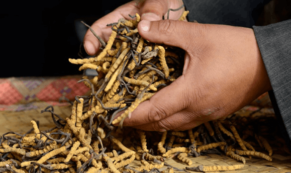 Annapurna Beverages Pty. Ltd.