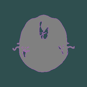 VTK: vtkContourTriangulator Class Reference