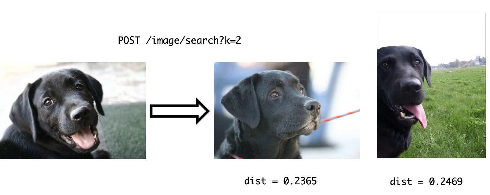 GitHub - MarkAntipin/image-search-engine: Web app to search similar images