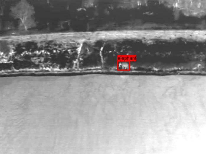 Agentmorrispublicdrone Datasetsmd At Main · Agentmorris
