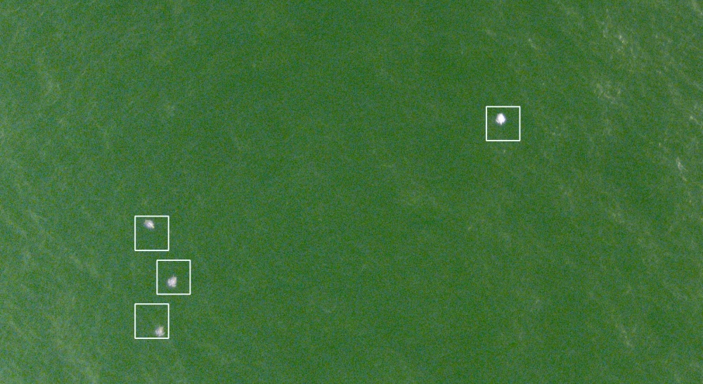 agentmorrispublic/drone-datasets.md at main · agentmorris ...