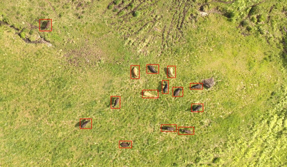 agentmorrispublic/drone-datasets.md at main · agentmorris ...