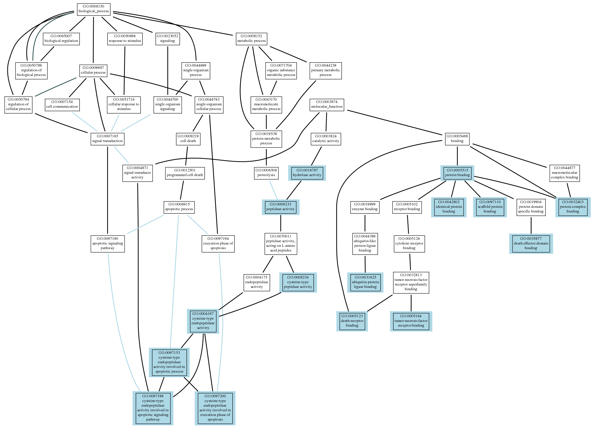CRISPR-AnalyzeR Report