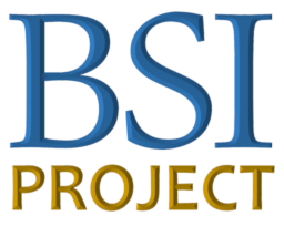 GitHub - bswg/bsip