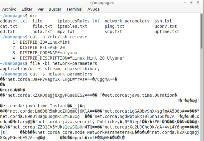 Leer-crear archivos desde la terminal > cat — documentación de ...