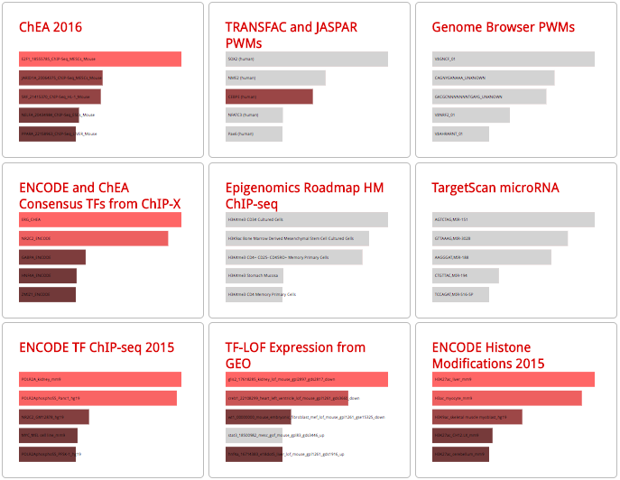 Enrichr | Datasets2Tools