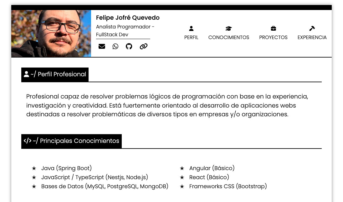 GitHub - felipejoq/resume-cv-beta: A minimal resume by Felipe JQ