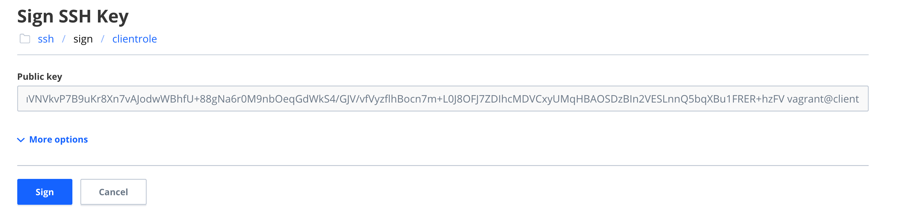 vault-guides/identity/ssh-otp/vagrant at master · dawright22/vault ...