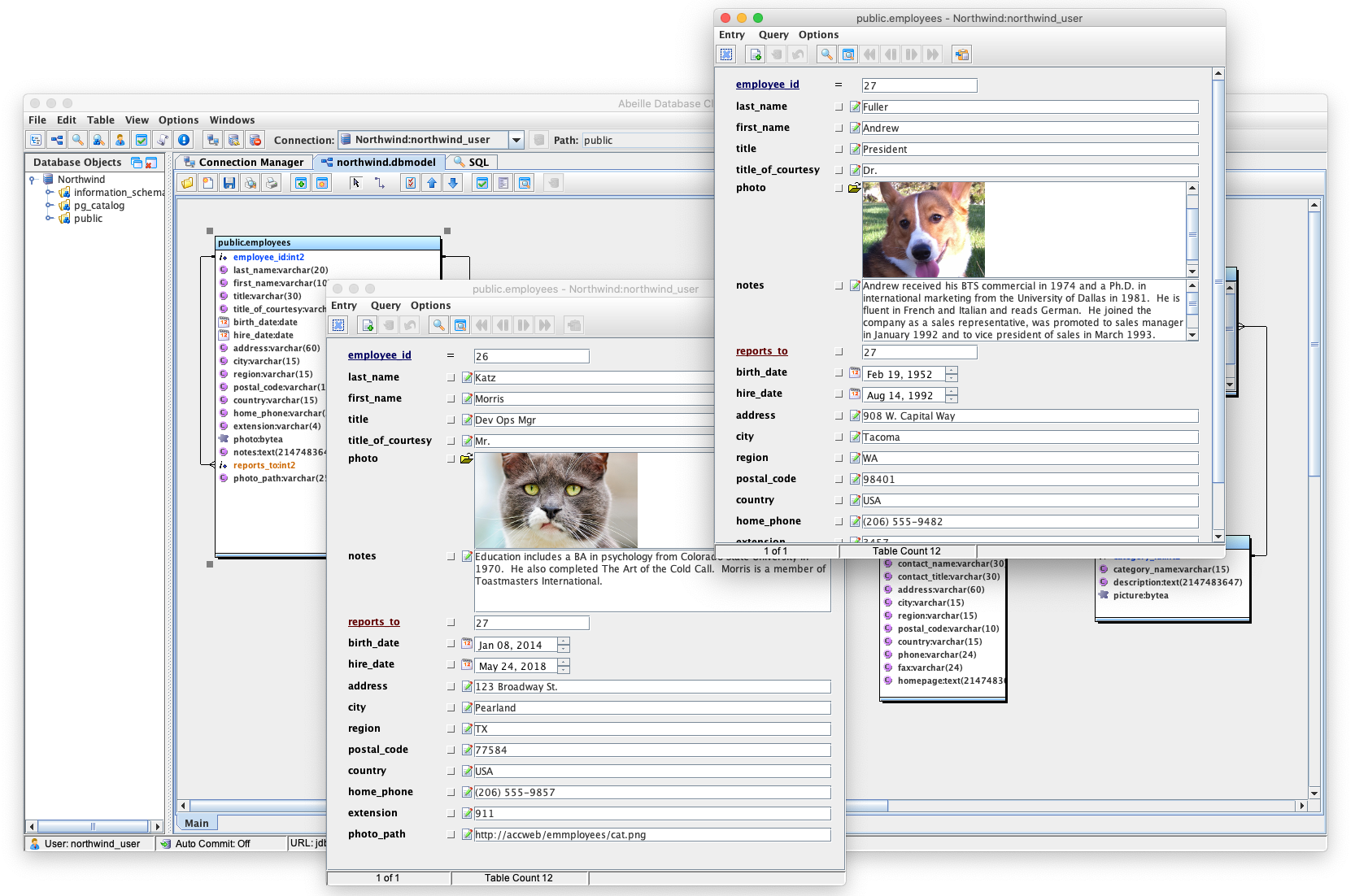 GitHub - jeff-tassin/abeilledb: Abeille Database Client is a cross-platform data browser and ...
