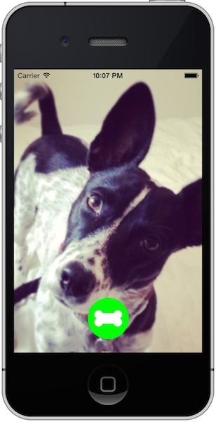 GitHub - lauraskelton/dog-chat: Video chatting for dogs.
