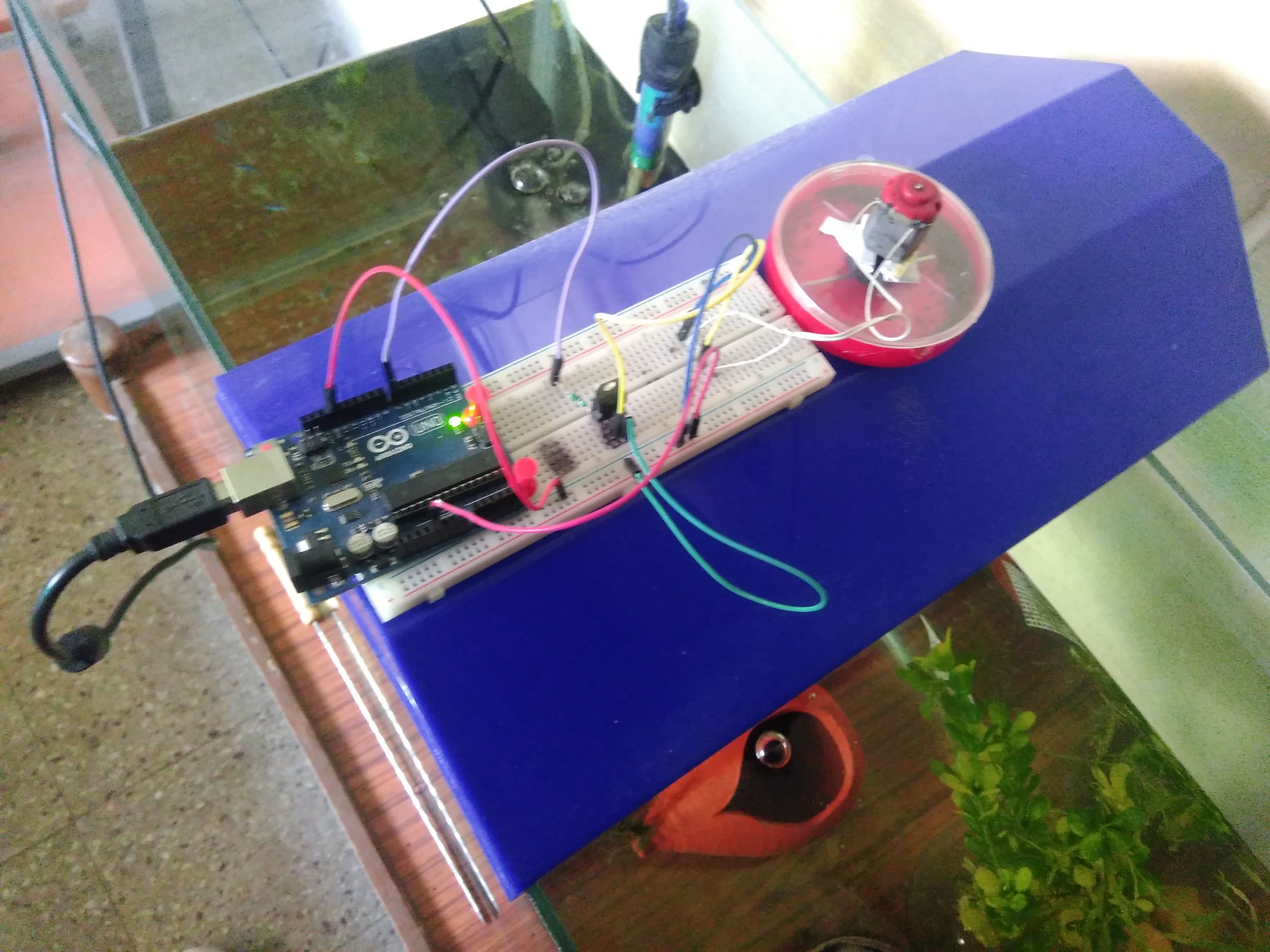 GitHub Mohasinac IOT Fish Feeder Automatic Fish Feeder Using Arduino GitHub Mohasinac IOT Fish Feeder Automatic Fish Feeder Using Arduino