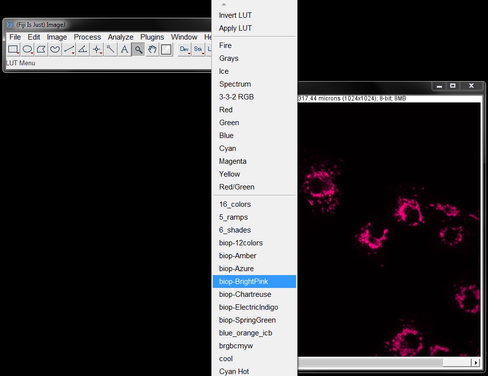 PART 5: CHANNELS AND COLOURS · Fiji Basics