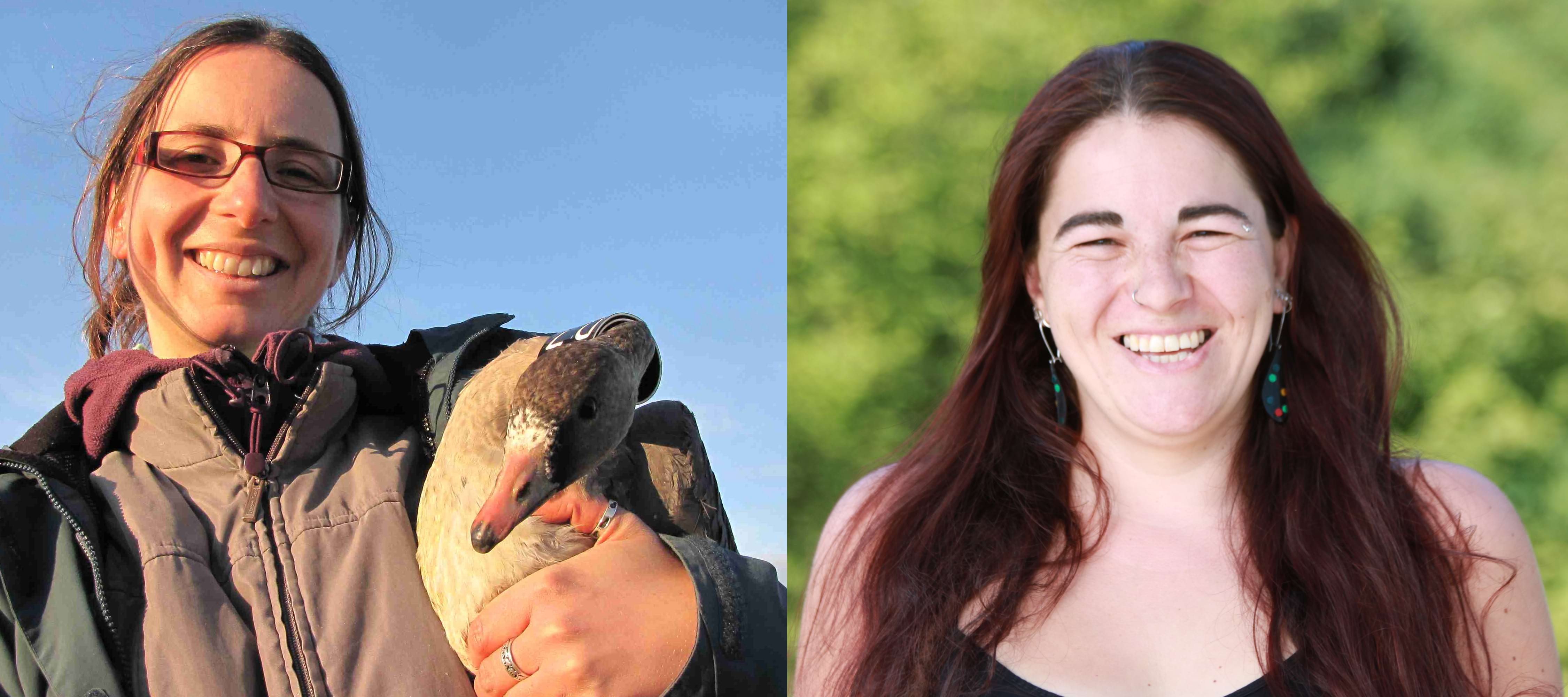 MoveApps - Analyse without Code