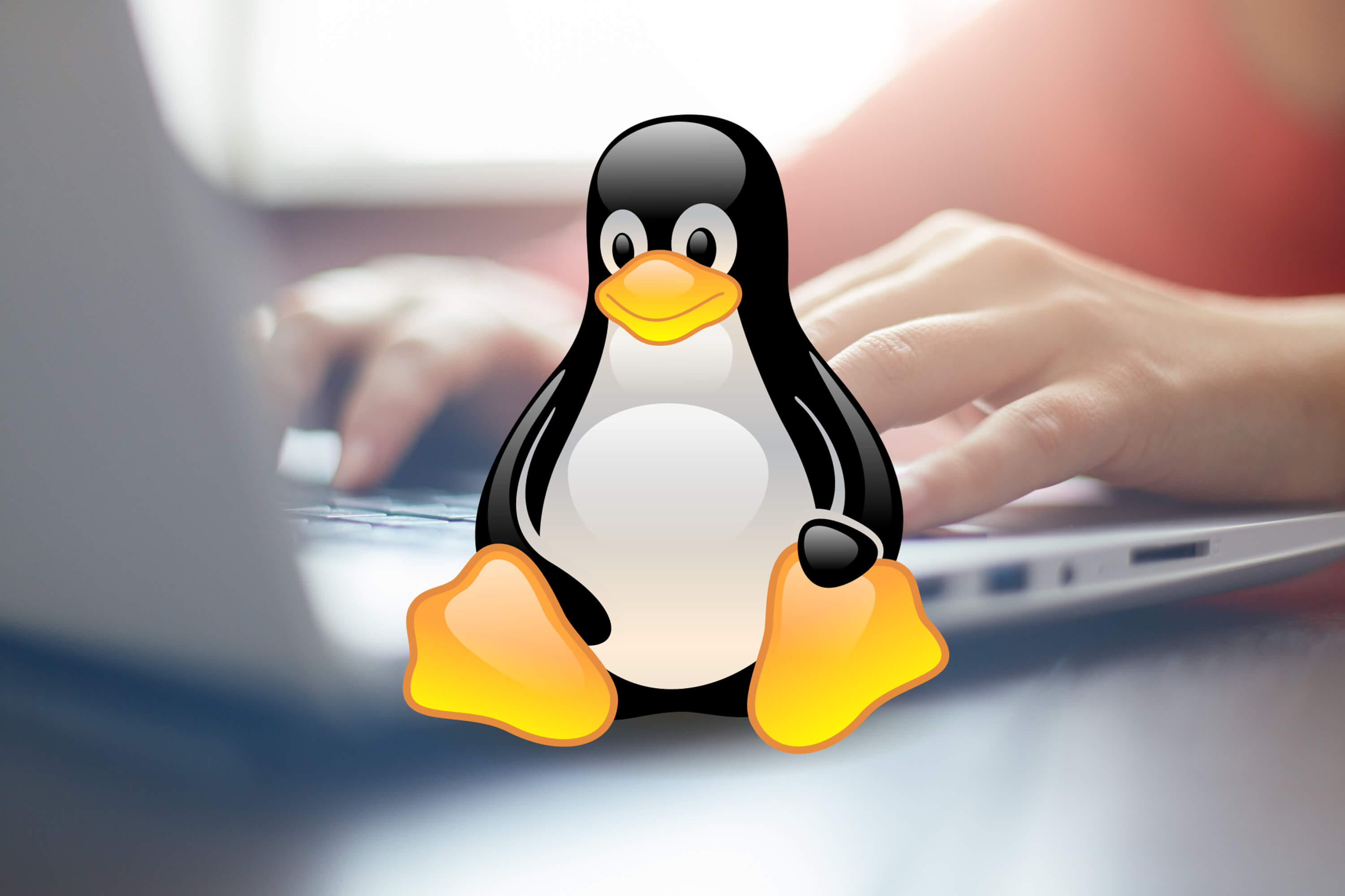 GitHub - mstkyvz/Karakalem: Resimleri çizilmiş resimlere çevirme