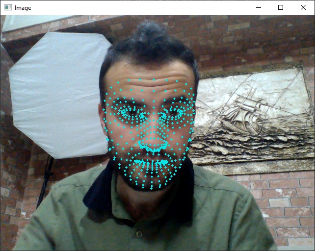 GitHub - ogzmsl/FacialDetectionLandmarks · GitHub
