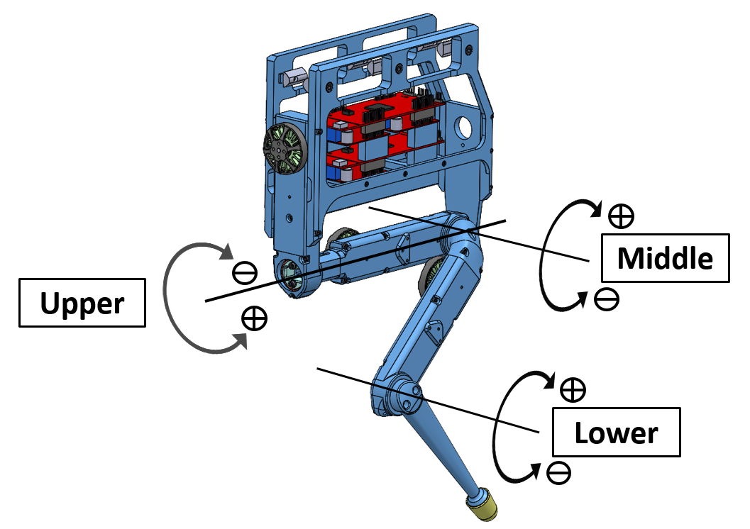 *Finger Edu - Joint Labels*