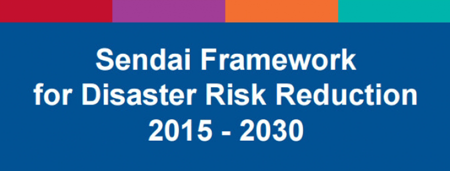 The Sendai Framework