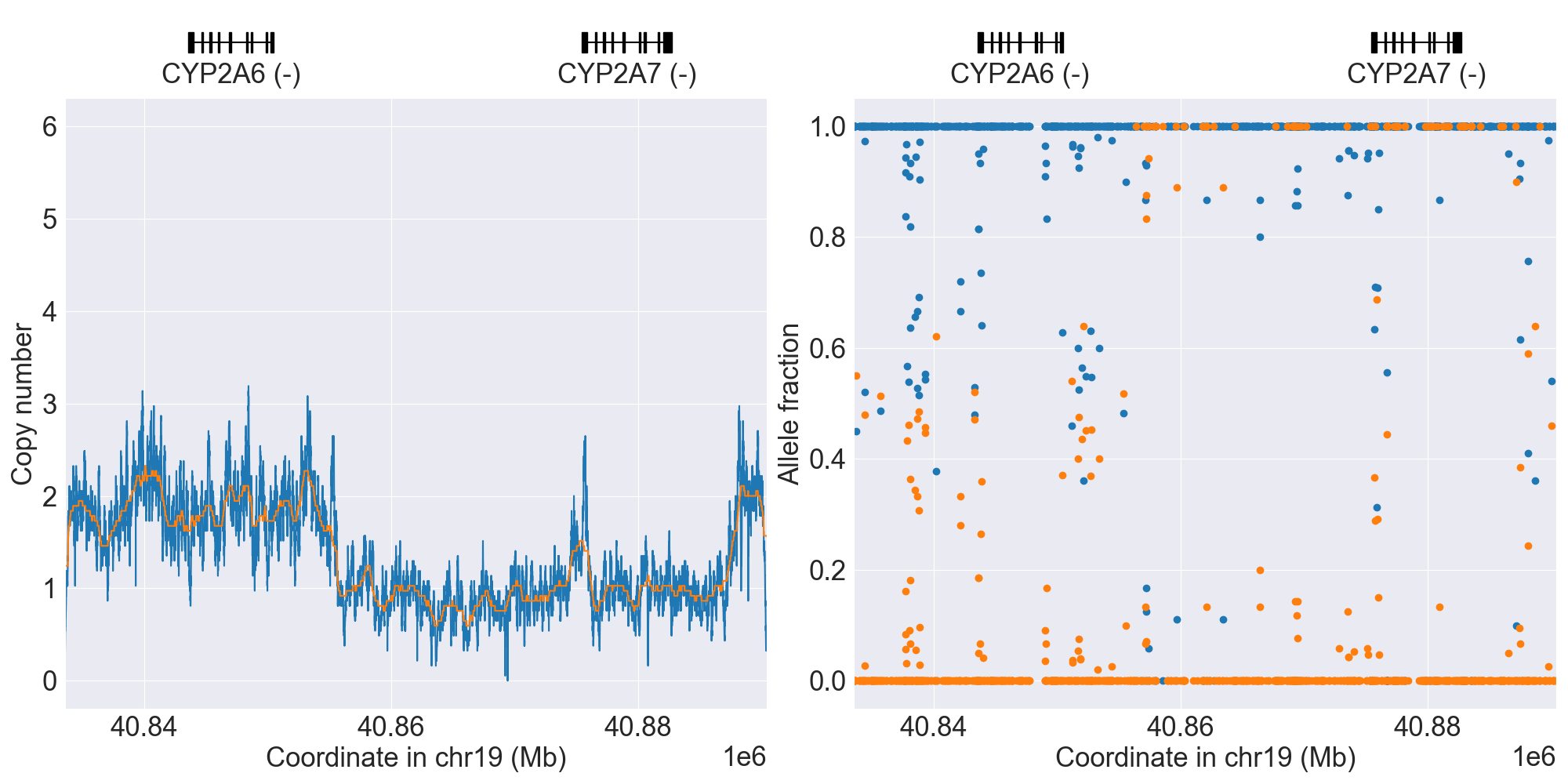 Genes — pypgx documentation
