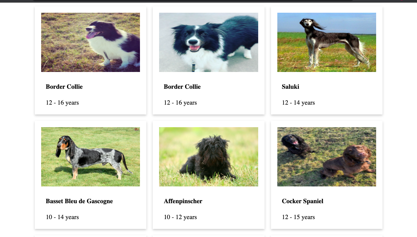 react-infinite-data-loader | Yarn